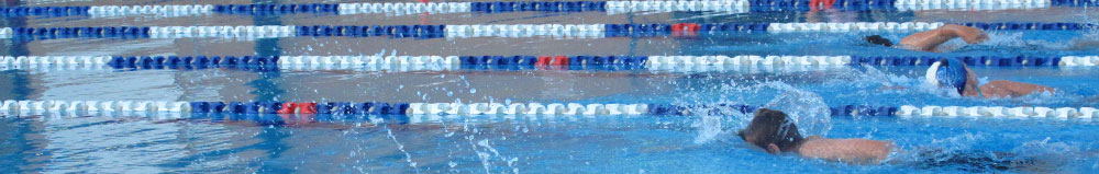 GS Aquatics Swim Club Night